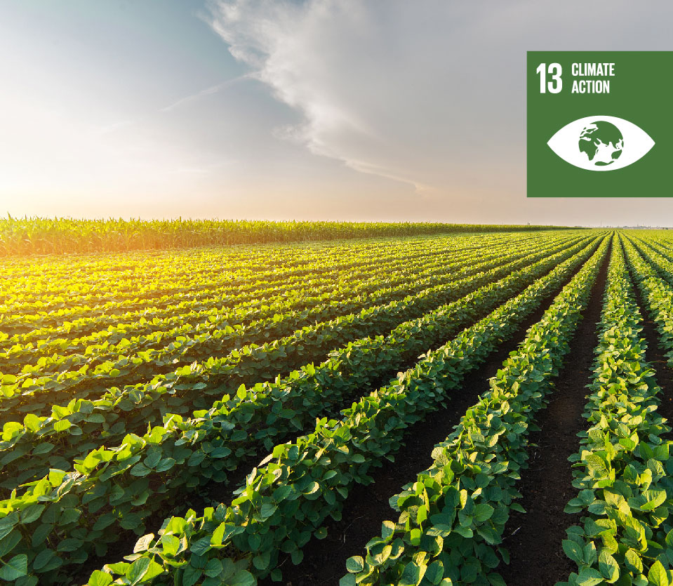 Unigaz - Clean Energy Experts | Unigaz