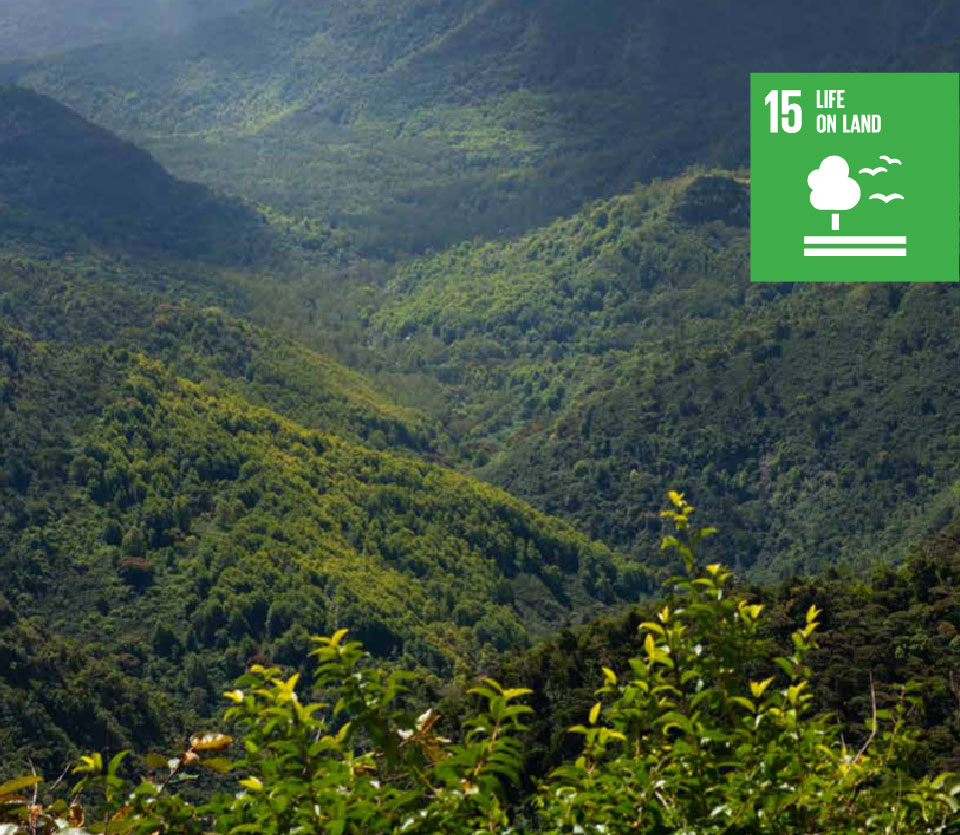 Unigaz - Clean Energy Experts | Unigaz